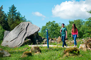 The Shannon Pot | Ireland.com