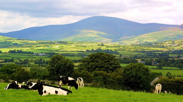 Bezoek county Carlow | Ireland.com