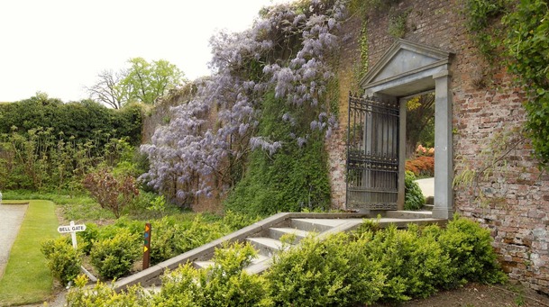 Visit the beautiful Mount Congreve Gardens | Ireland.com