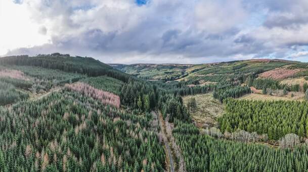 Discover the Slieve Bloom Mountains | Ireland.com