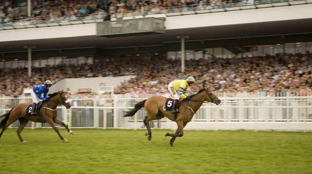 Galway Races | Ireland.com