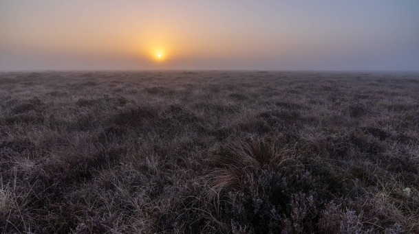 The secrets of Ireland’s bogs | Ireland.com