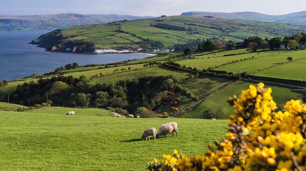 March on the island of Ireland | Ireland.com