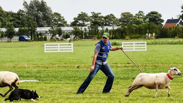 Meet the people of Ireland: shepherd Martin Feeney | Ireland.com