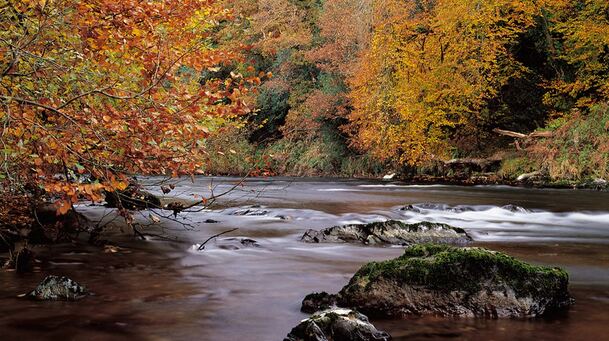 How to photograph fall in Ireland | Ireland.com