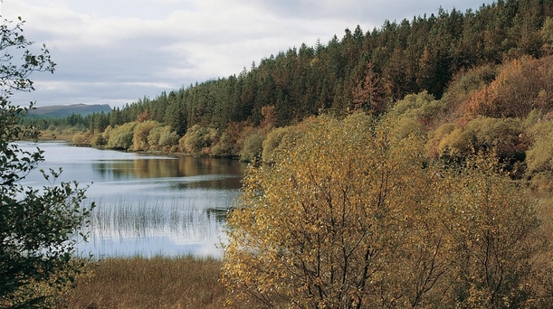 Escape into nature on Northern Ireland's Cuilcagh Boardwalk | Ireland.com