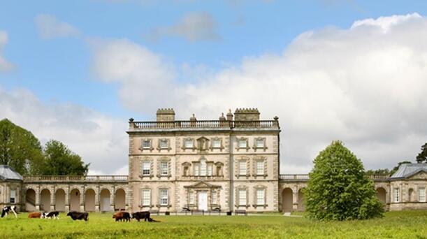 Escape into nature on Northern Ireland's Cuilcagh Boardwalk | Ireland.com