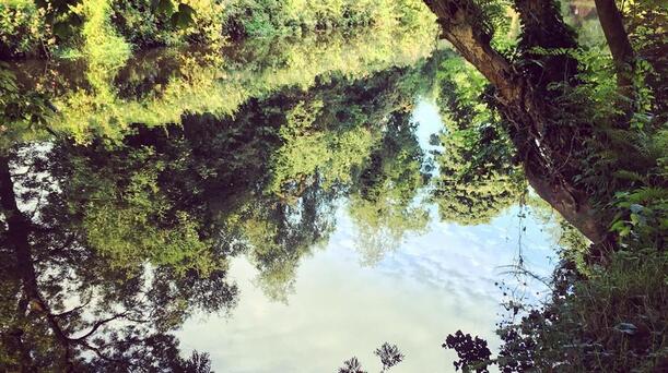 Lisburn | Ireland.com